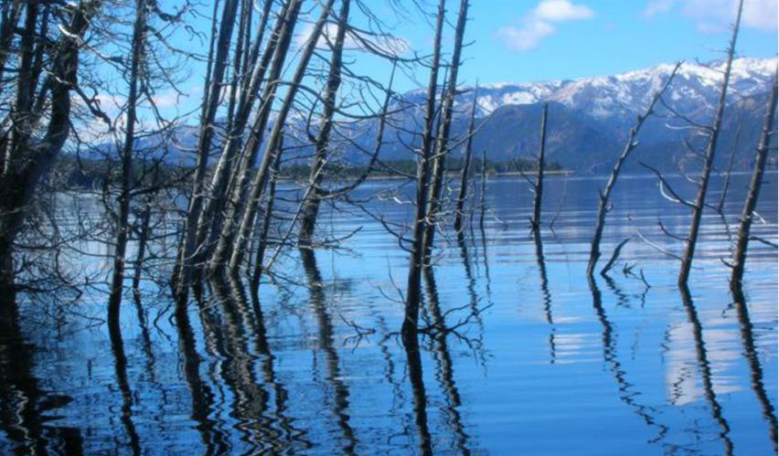 Bosque Sumergido y Gruta de la Virgen – Patagonia-Argentina.Com