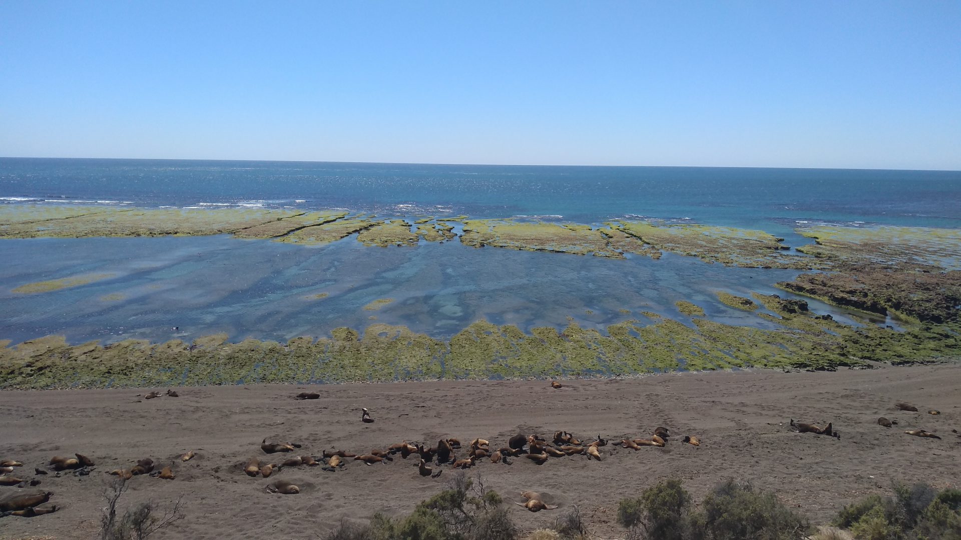 The Valdes Peninsula – Patagonia-Argentina.Com