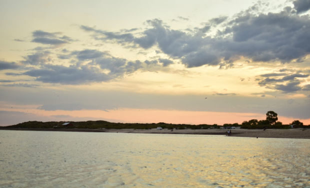 Punta Perdices – Patagonia-Argentina.Com