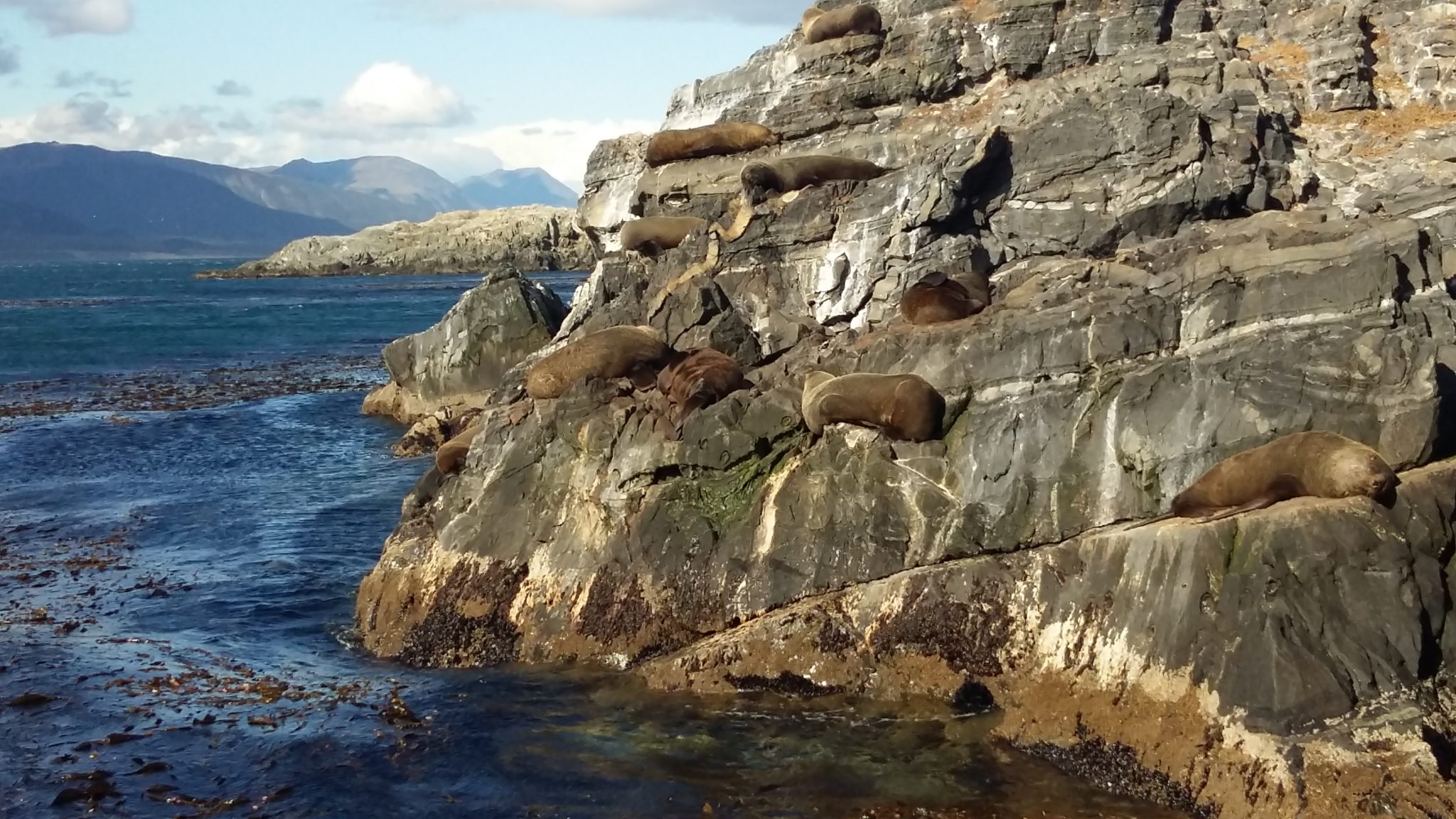 Beagle Channel – Ushuaia – Patagonia-Argentina.Com
