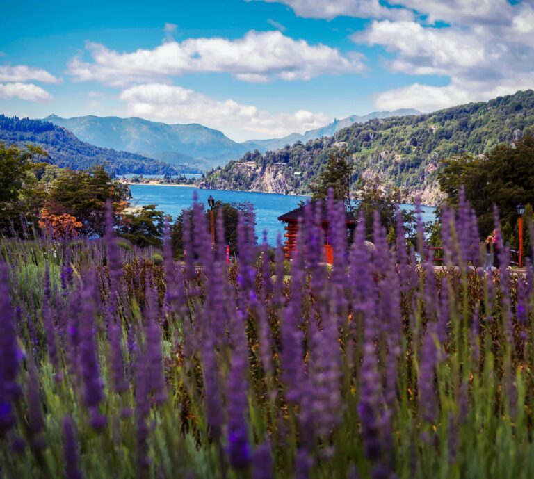 Bariloche – donde los Andes y los Alpes suizos se parecen – Patagonia ...